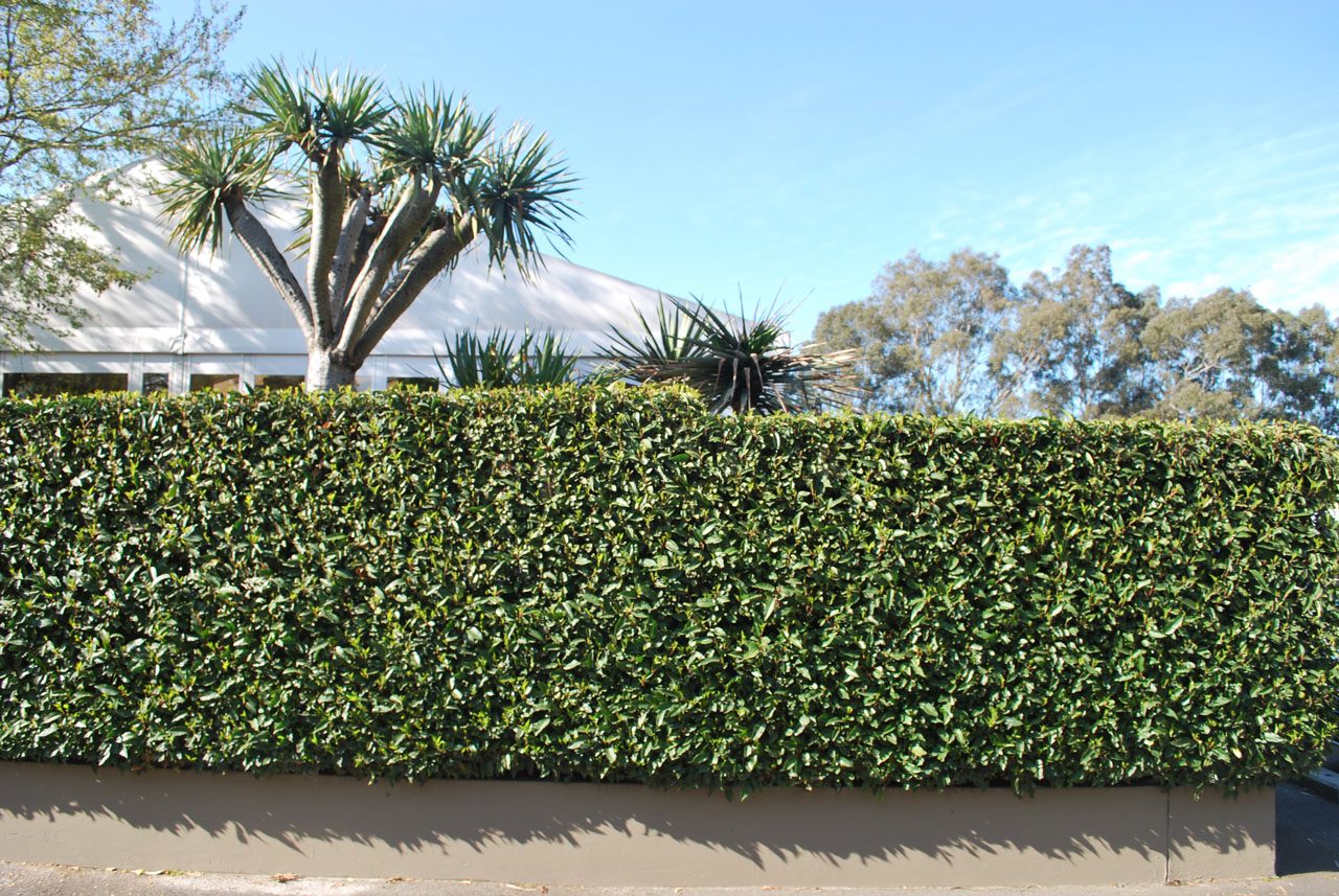 Residential gardening in Donvale – Greenbelt Garden Care