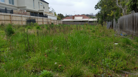 Overgrown Grass North Balwyn – Greenbelt Garden Care